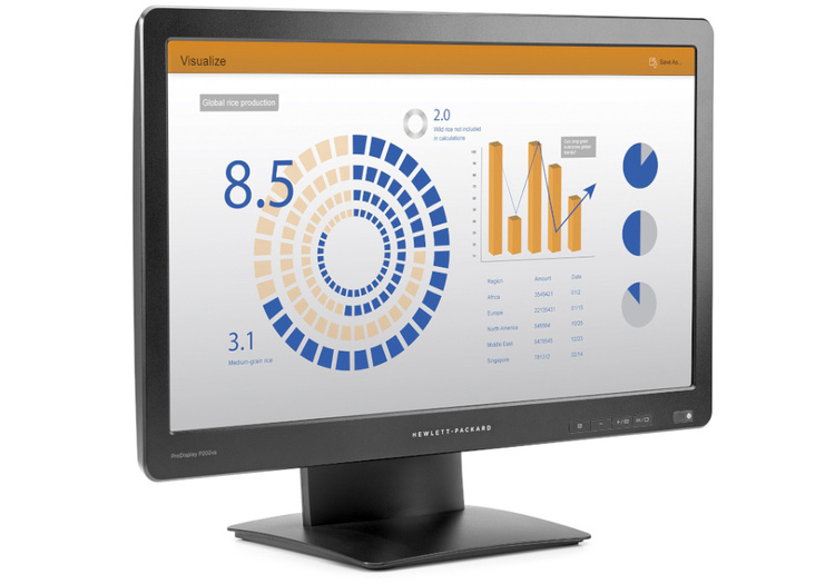 HP ProDisplay P202VA 20" LED 1920x1080 DisplayPort D-SUB Monitor Black ...