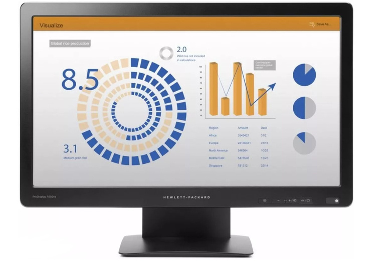 HP ProDisplay P202VA 20" LED 1920x1080 DisplayPort D-SUB Monitor Black ...